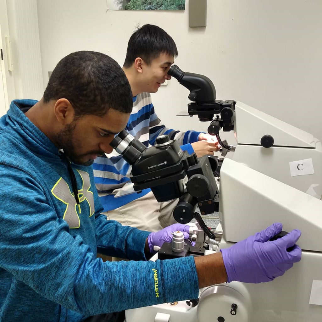 Workshop: Biological TEM