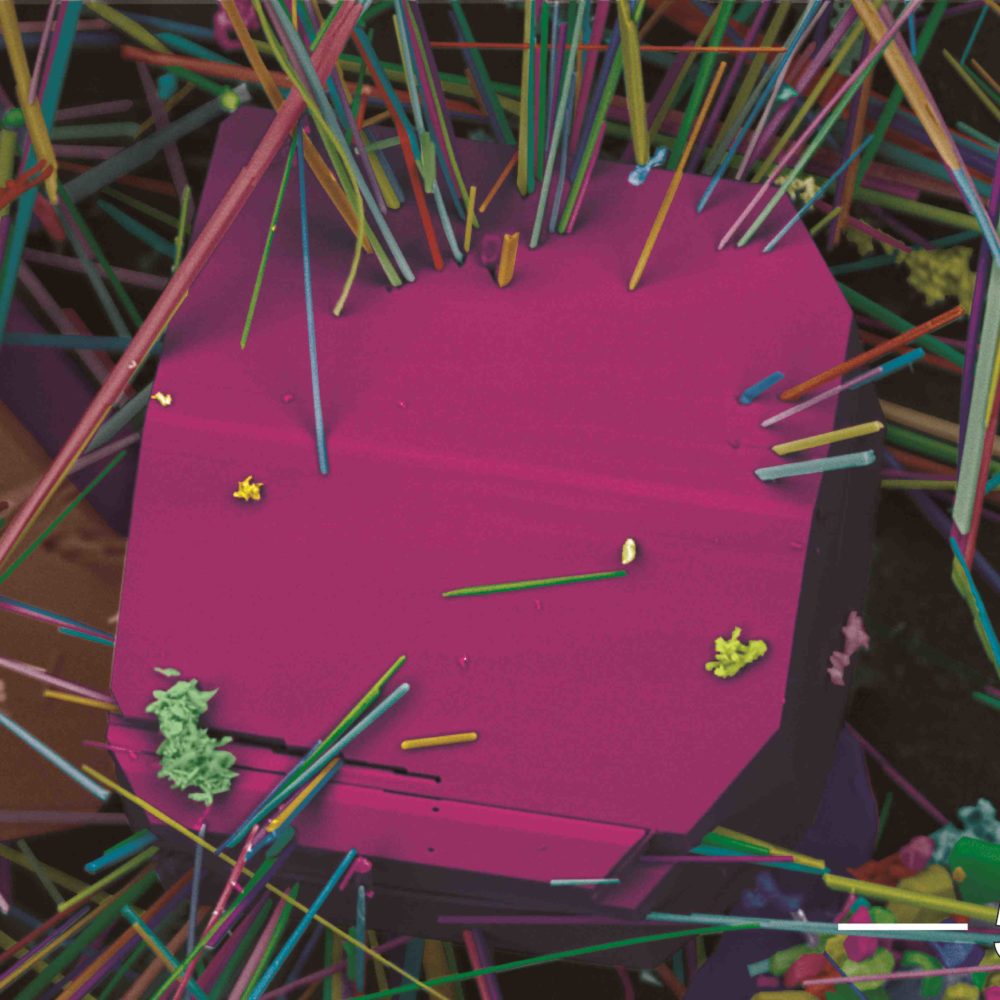 FE-SEM Thermo Fisher Teneo