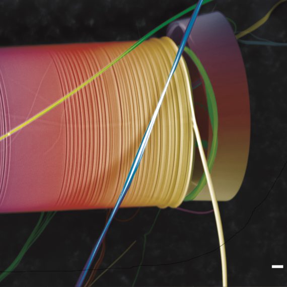 FE-SEM Thermo Fisher Teneo