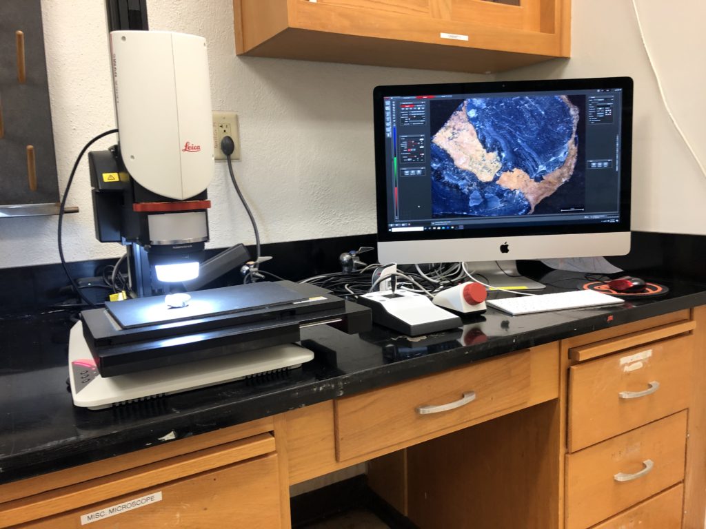 Light Microscope: Leica DVM6